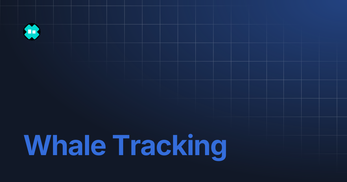 Whale Tracking | Avola AI